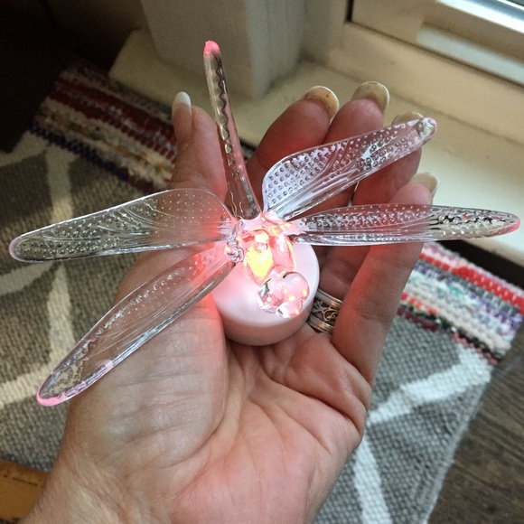 Accents | Dragonfly Color Changing Ornaments Set Of 4 | Poshmark